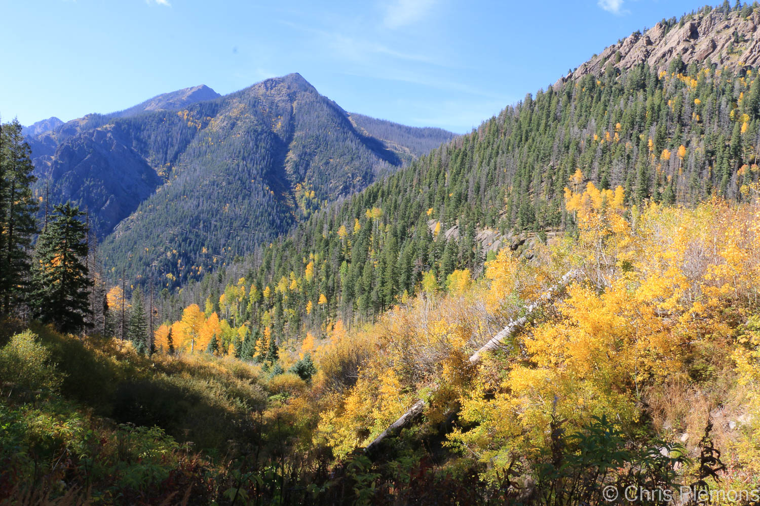 Middle Fork # 589 - Pagosa Springs Area Trails